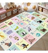 Amazon.com: YLZLDKH Hopscotch Play Rug Carpet for Kids, ABC Alphabet ...