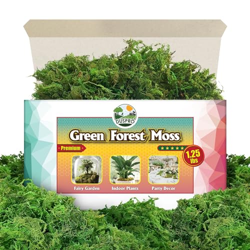 Amazon.com New Releases: The best-selling new & future releases in ...