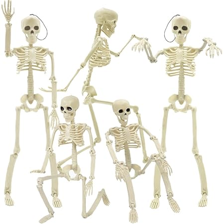 Amazon.com: 4 Packs Posable Halloween Skeleton, Full Body Skeleton ...