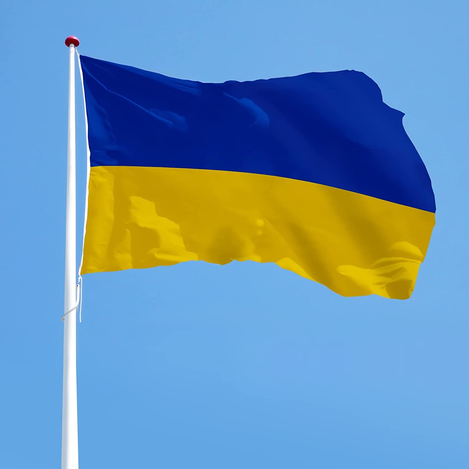 Ukrainian Flag Waving