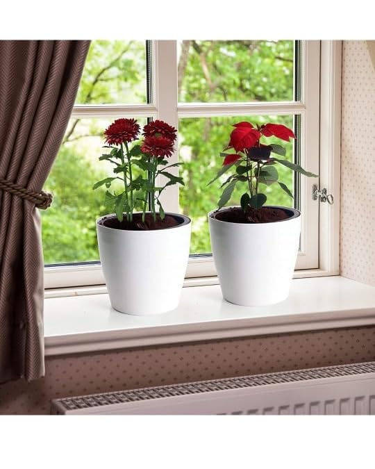 POT & PLANT SHOP Multi Color Double Layer self Watering Planting ...