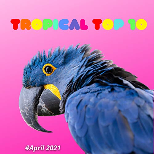 Amazon.com: Tropical Top 10 : Francesco Digilio: Digital Music