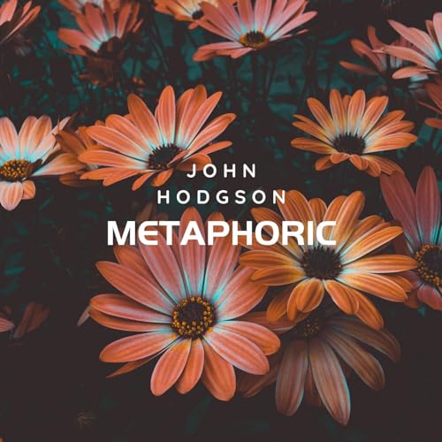 Metaphoric by John Hodgson on Amazon Music - Amazon.com