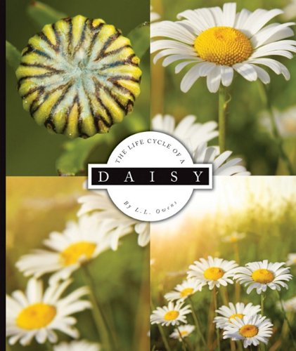 The Life Cycle of a Daisy (Life Cycles): L. L. Owens: 9781609731465 ...