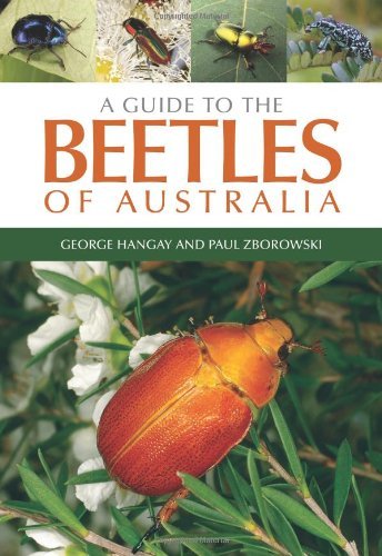 A Guide to the Beetles of Australia , Hangay, George, Zborowski, Paul ...