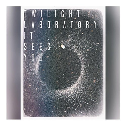 Amazon.com: It Sees You : Twilight Laboratory: Digital Music