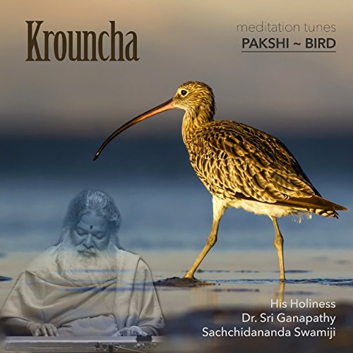 Amazon.com: Meditation Tunes - Pakshi / Bird - Krouncha : Sri Ganapathy ...