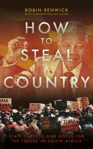 How To Steal A Country: State Capture in South Africa - Kindle edition ...