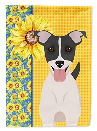 Top 10 Must-Have Products for Your Black and White Jack Russell Terrier: A Complete Buying Guide ...