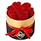 Amazon.com: GLAMOUR BOUTIQUE Eternal Preserved Roses in a Box - Flowers ...