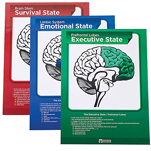 Conscious Discipline Brain State Poster Set: Dr. Becky A. Bailey ...