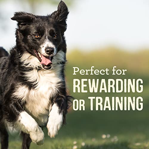 Merrick Power Bites Dog Treats, Real Rabbit Recipe – 6 oz. Bag ...