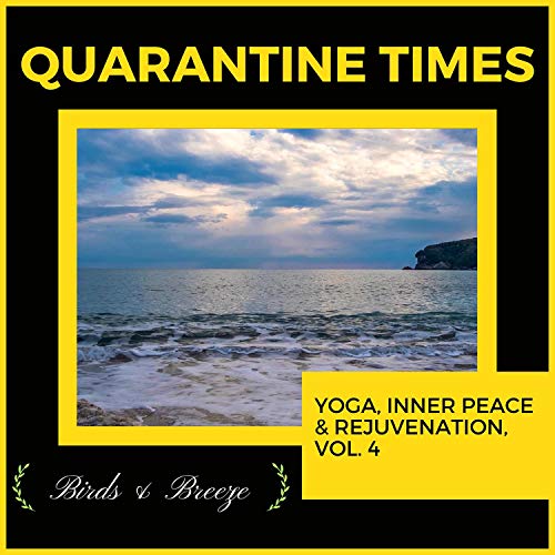 Play Quarantine Times - Yoga, Inner Peace & Rejuvenation, Vol. 4 by ...