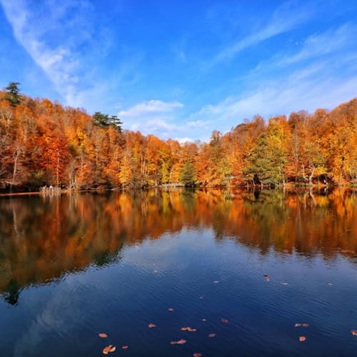 Amazon Music - Yedda Warrenの超自然週末 - Amazon.co.jp