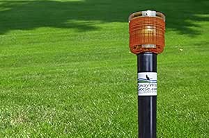 Amazon.com : Estaru Premium Goose Deterrent Device, Land-Based Unit to ...