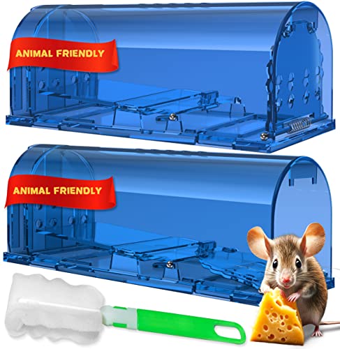 Top 10 Mice Cube Mouse Trap of 2022 - Katynel