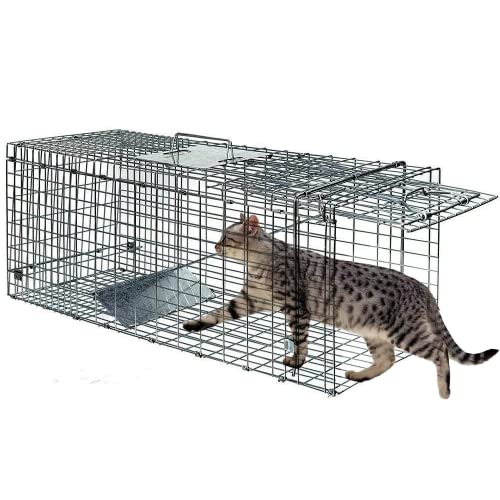 Top 10 Live Trap For Bobcats of 2022 - Katynel
