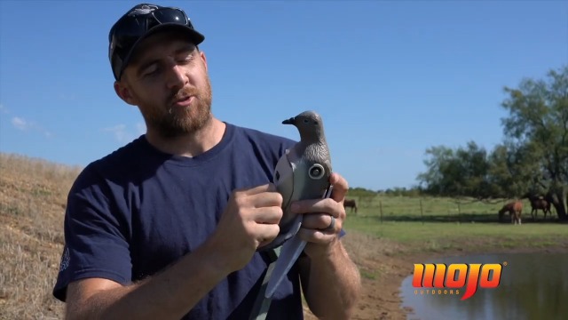 Watch MOJO Elite Series Dove on Amazon Live