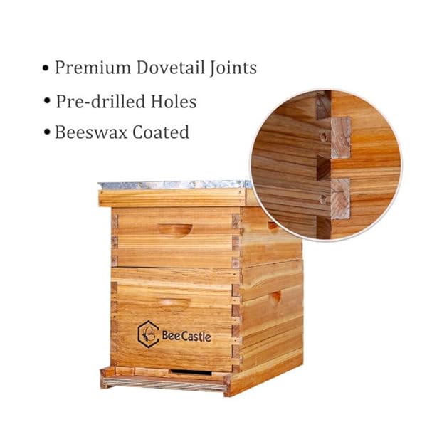 BeeCastle 10-Frames Complete Beehive Kit, 100% Beeswax Coated Bee Hive ...