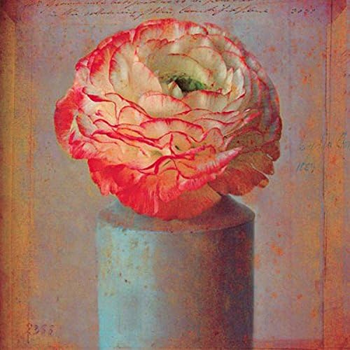 Amazon.com: Floral Study I by Sally Wetherby Floral Print Poster 12X12 ...