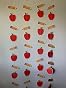 Amazon.com: Back to School Party Decorations - NO DIY - Welcome Back to ...