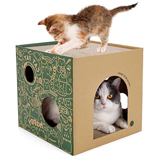 Cat Scratcher House – The 15 best products compared - Wild Explained