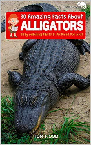 30 Amazing Facts About Alligators: Easy Reading Facts & Pictures For ...