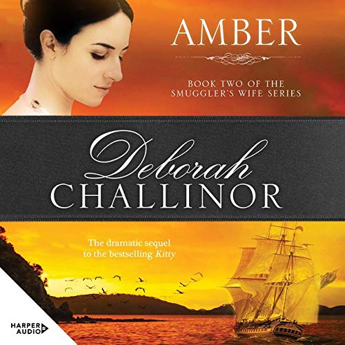 Amber: Deborah Challinor: 9781869506322: Amazon.com: Books