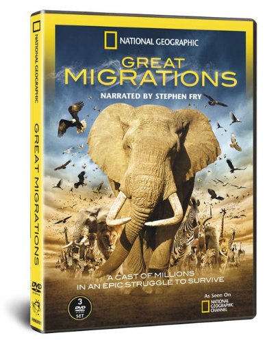 National Geographic: Great Migrations [DVD]: Amazon.co.uk: Stephen Fry ...