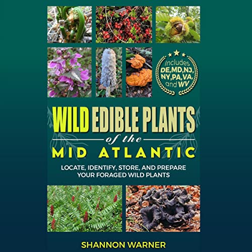 Amazon.com: Foraging Wild Edible Plants in the Pacific Northwest: A Beginner's Field Guide for ...