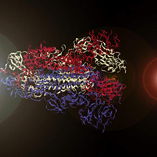 Play Sonification of the Coronavirus Spike Protein (Amino Acid Scale) by Markus J. Buehler on ...
