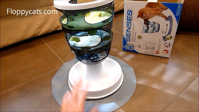 Watch Catit Senses Interactive Cat Toys on Amazon Live