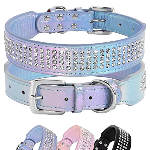 10 Coolest Female Dog Collars to Make Your Pup the Fashionista of the ...