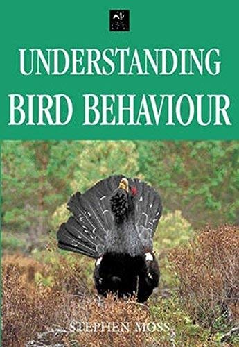 A Birdwatcher's Guide: Understanding Bird Behaviour : Buy Online at ...