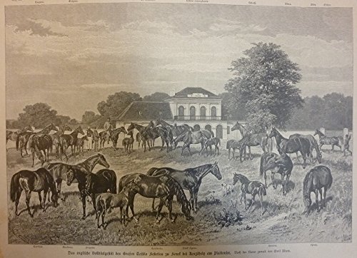 Orig. Holzstich Gestüt - Das englische Vollblutgestüt des Grafen ...