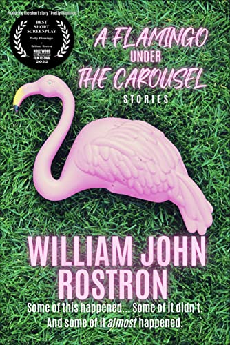A Flamingo Under the Carousel - Kindle edition by Rostron, William John ...