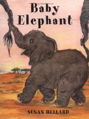 Baby Elephant (Baby): Amazon.co.uk: Hellard, Susan: 9781853406416: Books
