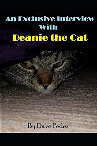 An Exclusive Interview with Beanie the Cat: Feder, Dave, Feder ...