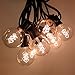 Hometown Evolution, Inc. Edison String Lights (50 Foot Black Wire, G50 ...