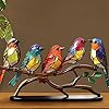 Amazon.com: Naiveferry 1Pc Birds on Branch, Colorful Acrylic Birds ...