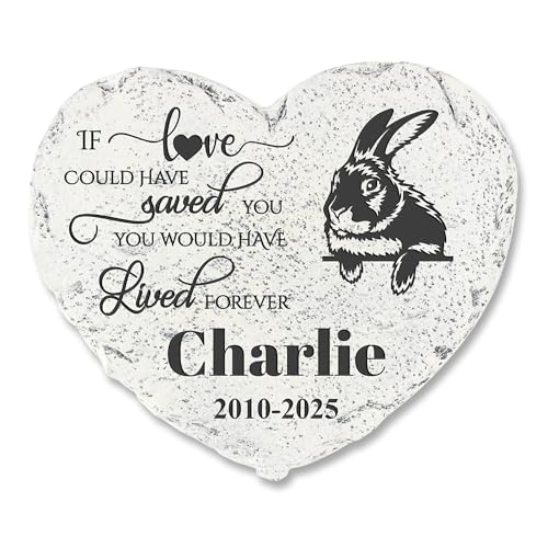Amazon.com: Craybry Personalized Pet Memorial Stone - Garden Memorial ...