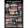 Amazon.com: Friends TV Show Infographic Poster - 91.5 x 61cms (36 x 24 ...