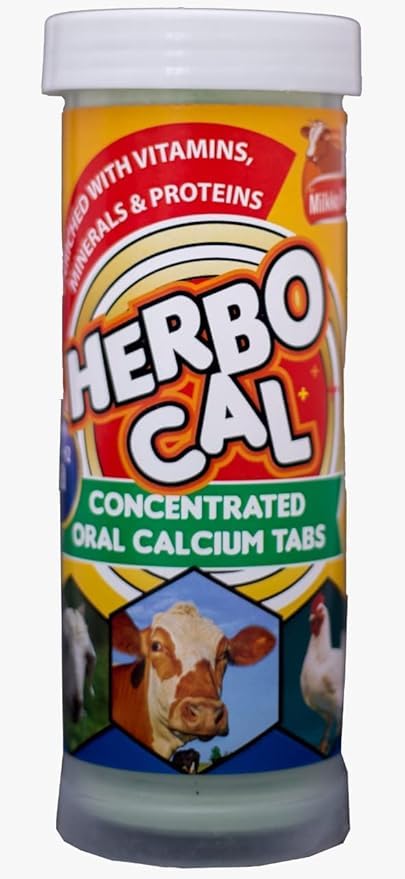 RGS Vet Herbocal Tabs | Calcium Tablet for Cow | Herbocal Tabs ...