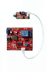 Amazon.com : Taidacent 24V Voice-Activated Delay Switch Sound Delay ...