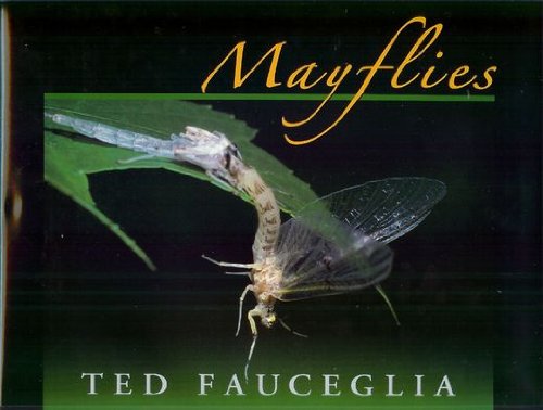 Mayflies: Amazon.co.uk: Fauceglia, Ted: 9780811701273: Books