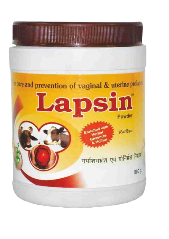 Phoenix Lapsin Powder (500 g) : Amazon.in: Health & Personal Care