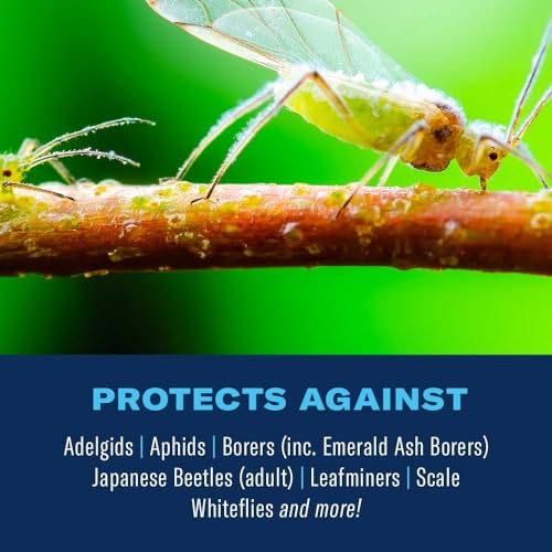 BIOADVANCED 12-Month Tree and Shrub Protect and Feed, Insect Killer and ...