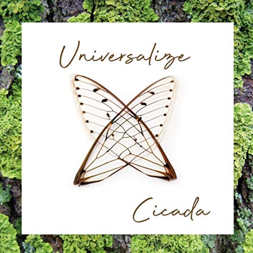 Play Cicada by Universalize on Amazon Music