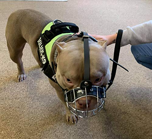 L&J Pets Uk Strong Metal Wire Basket Dog Muzzle For American Bully