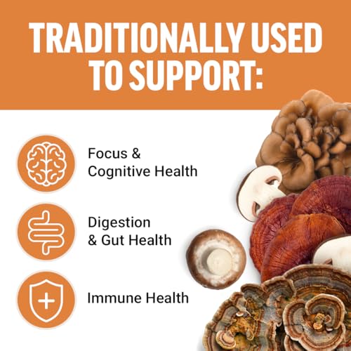 Force Factor Modern Mushrooms Capsules - Suplemento de Cogumelos com ...